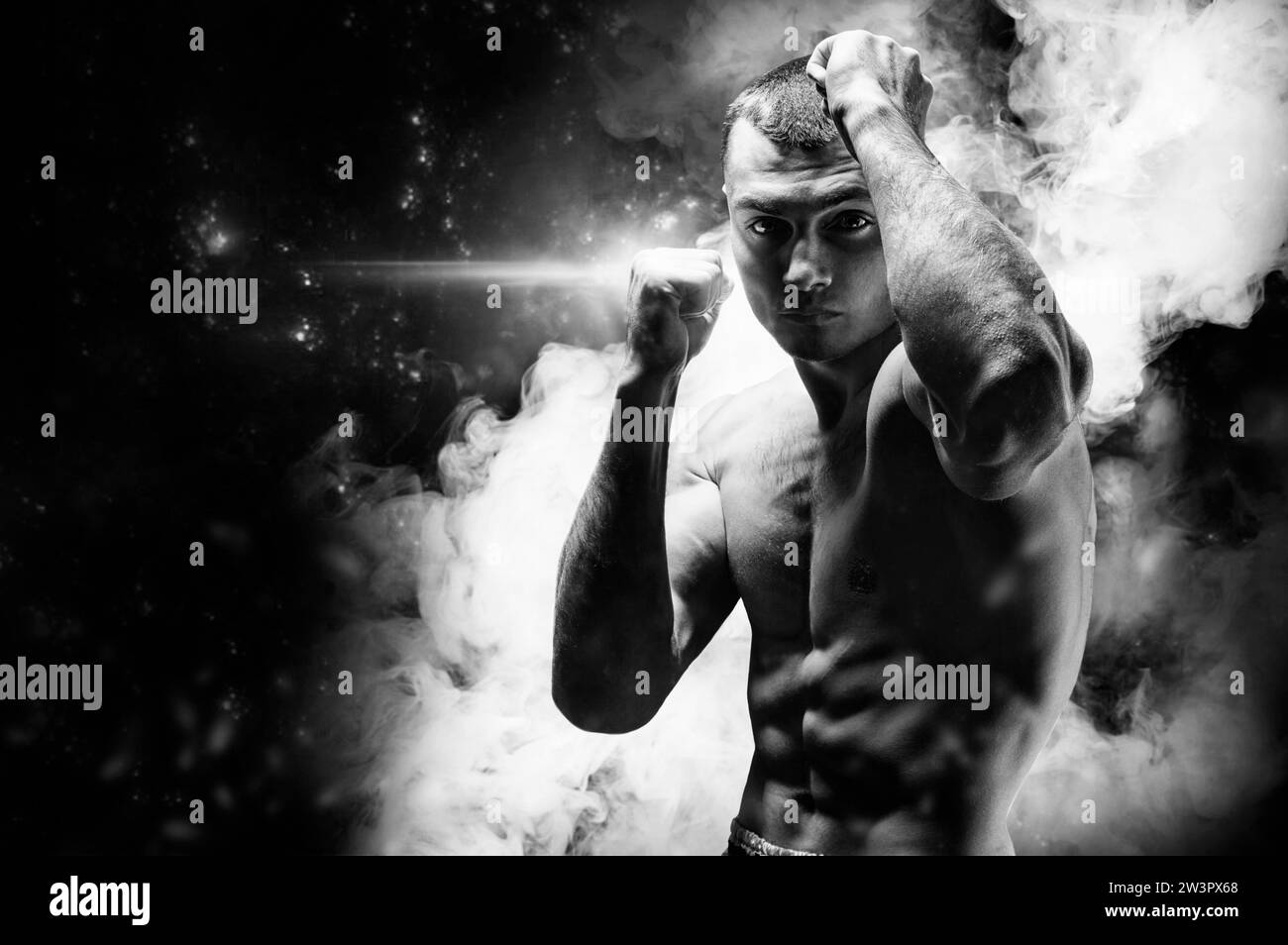 Boxer stands in front camera hi-res stock photography and images - Alamy