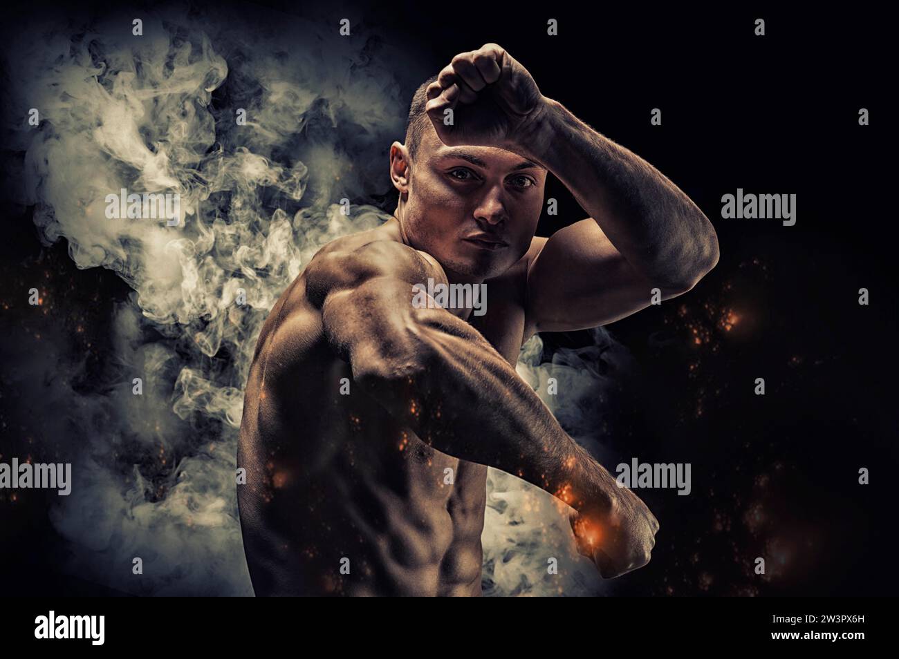 Boxer stands in front camera hi-res stock photography and images - Alamy