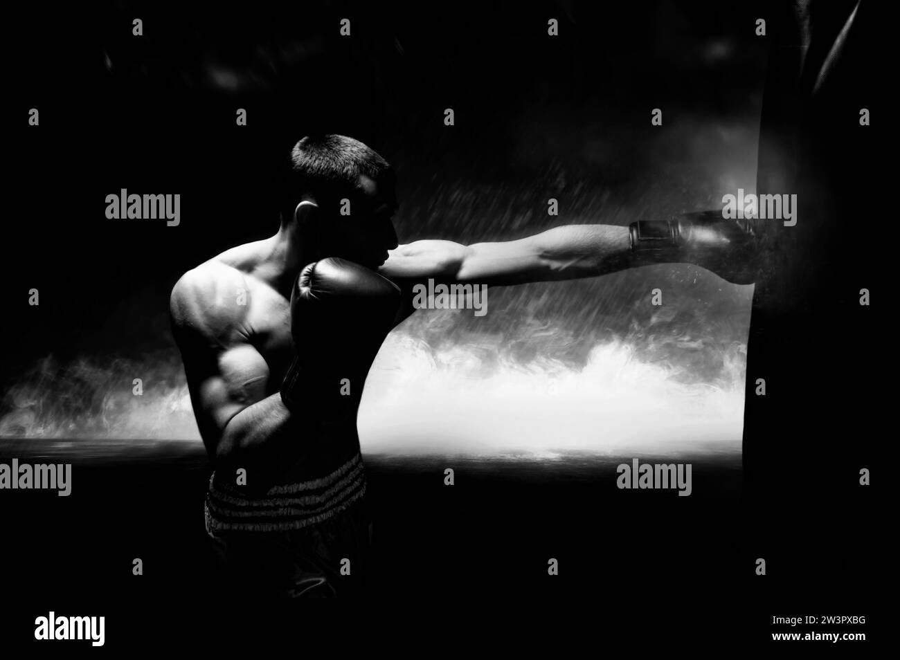 Professional boxer hits the bag. The concept of sport, boxing, healthy ...