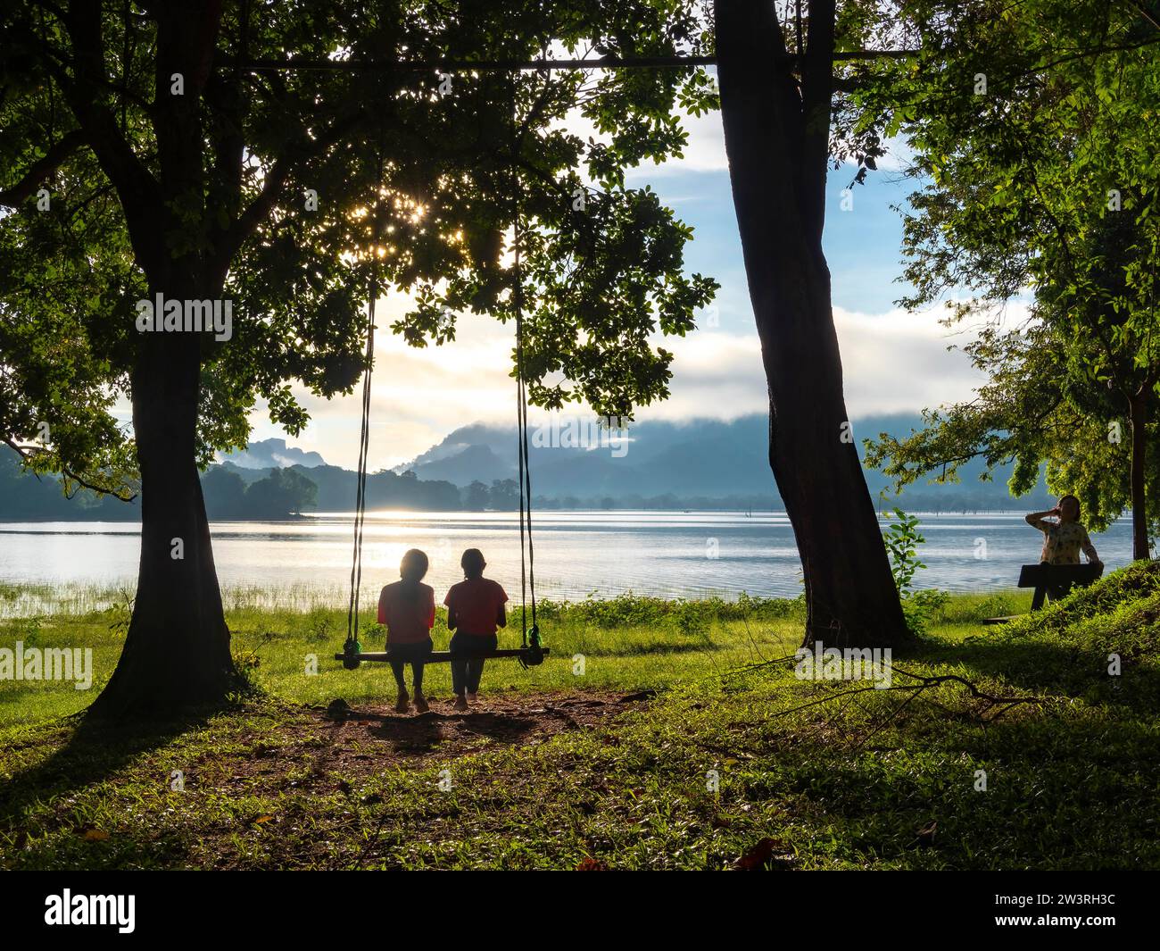 Girl sitting on swing by tree in morning sun by lake, Sri Lanka Stock ...