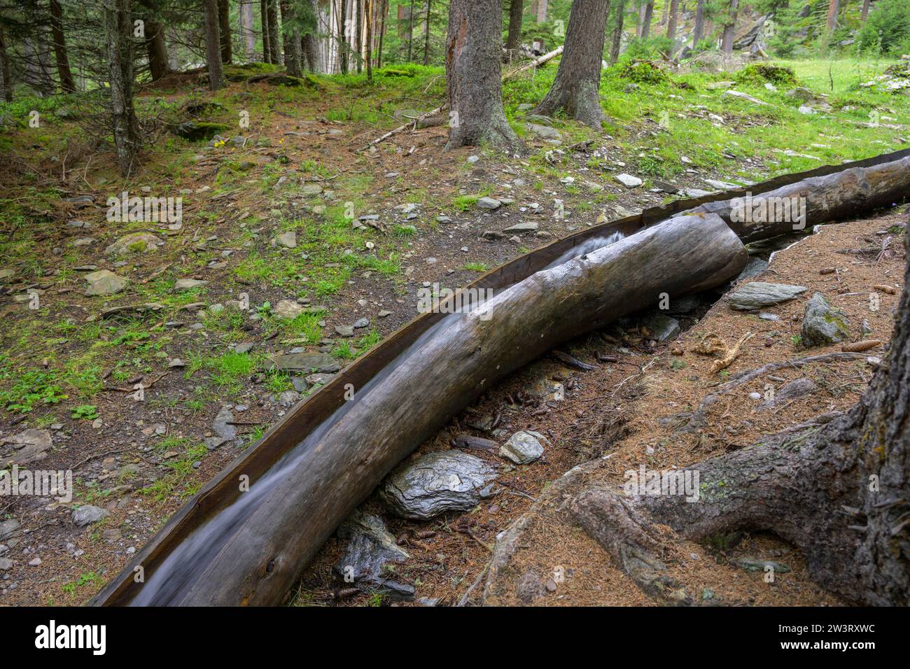Wooden channel of the Kandelwaal, Martell, South Tyrol, Italy Stock ...