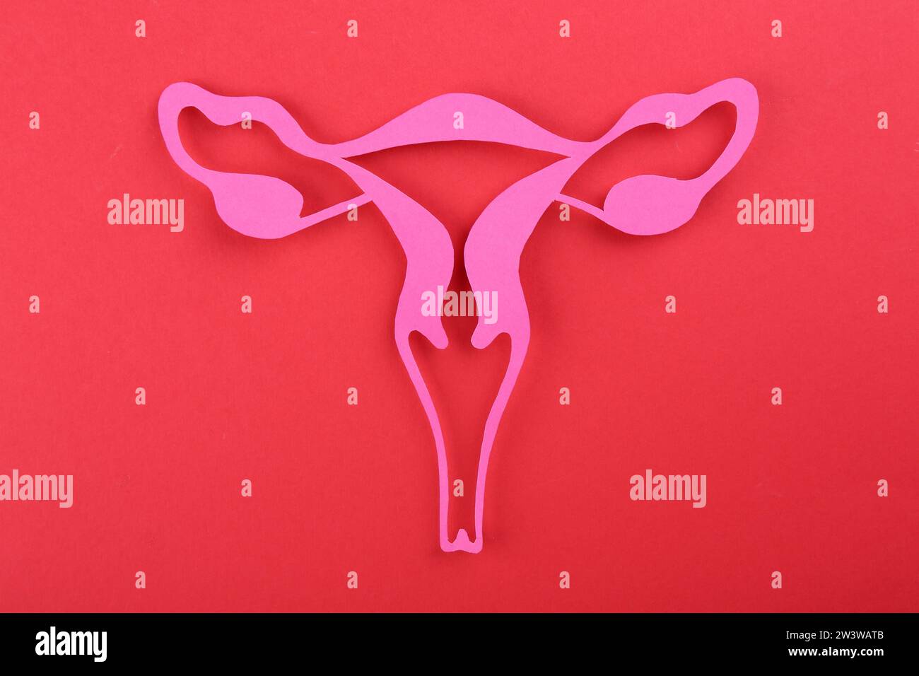 Reproductive medicine. Paper uterus on red background, top view Stock ...