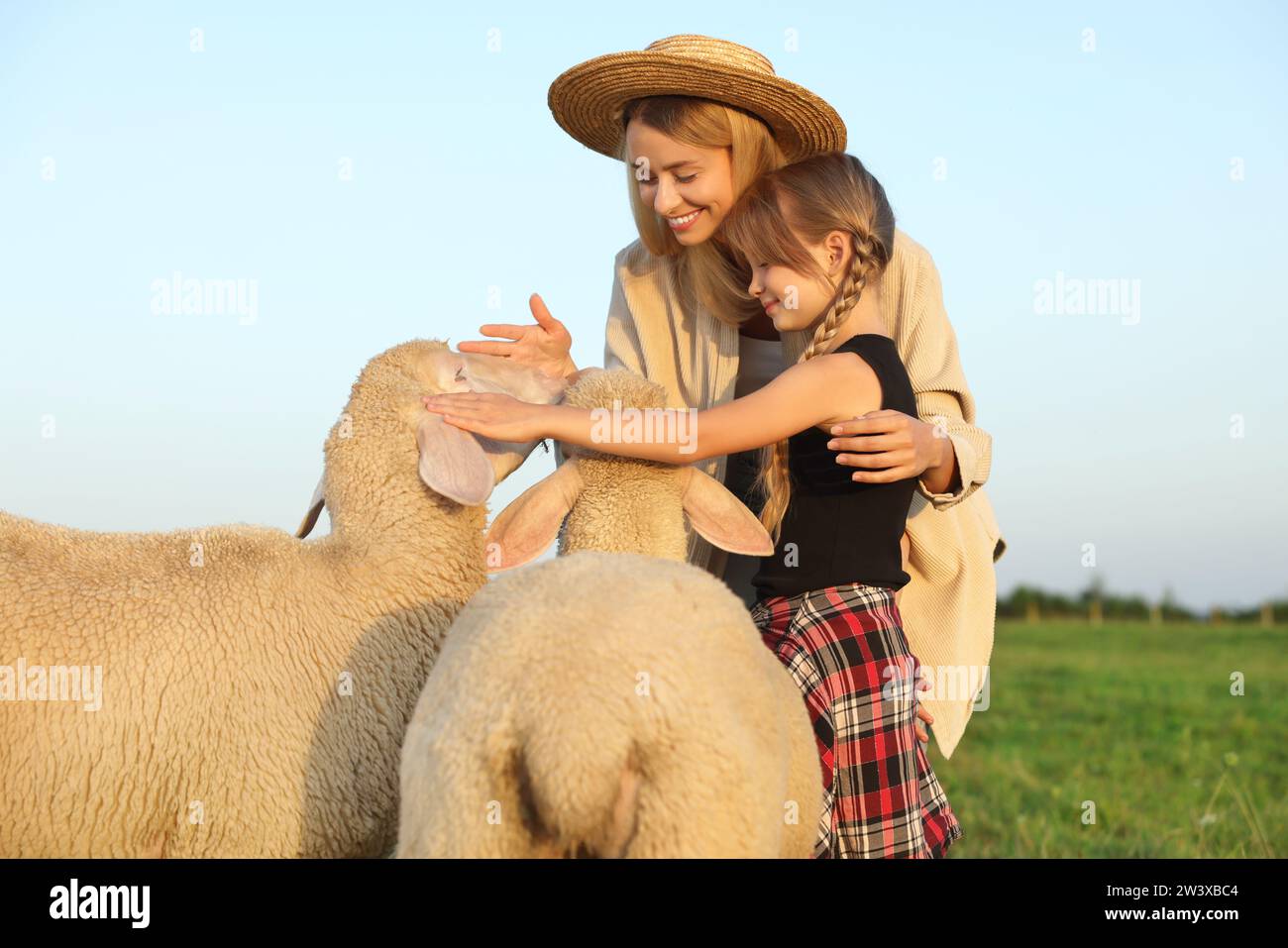 Mother and daughter stroking sheep on pasture. Farm animals Stock Photo ...