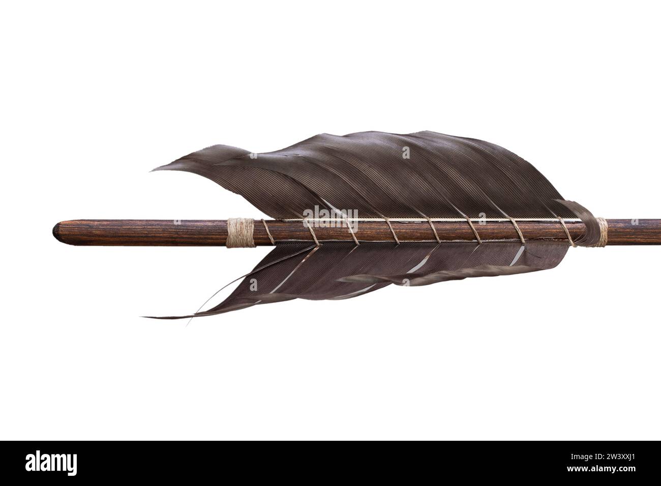Feather fletching of traditional target arrow isolated on white ...