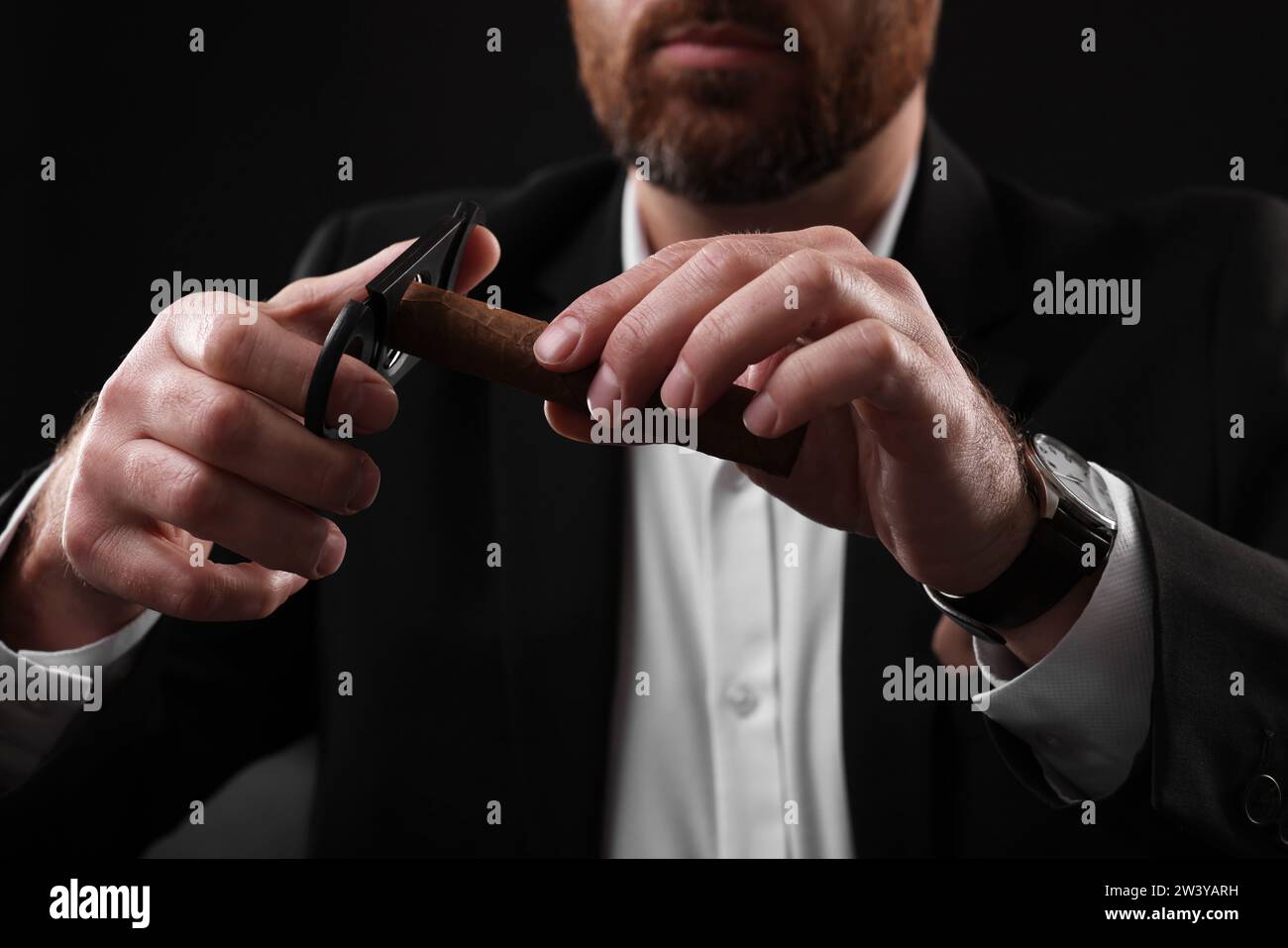 Man cutting tip of cigar on black background, closeup Stock Photo - Alamy