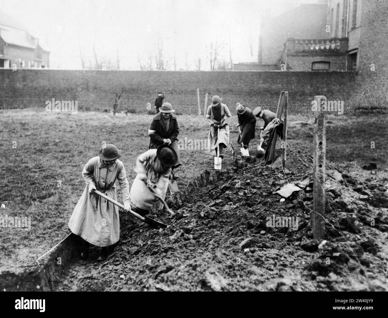 Official photograph showing group of female farmers digging Stock Photo ...