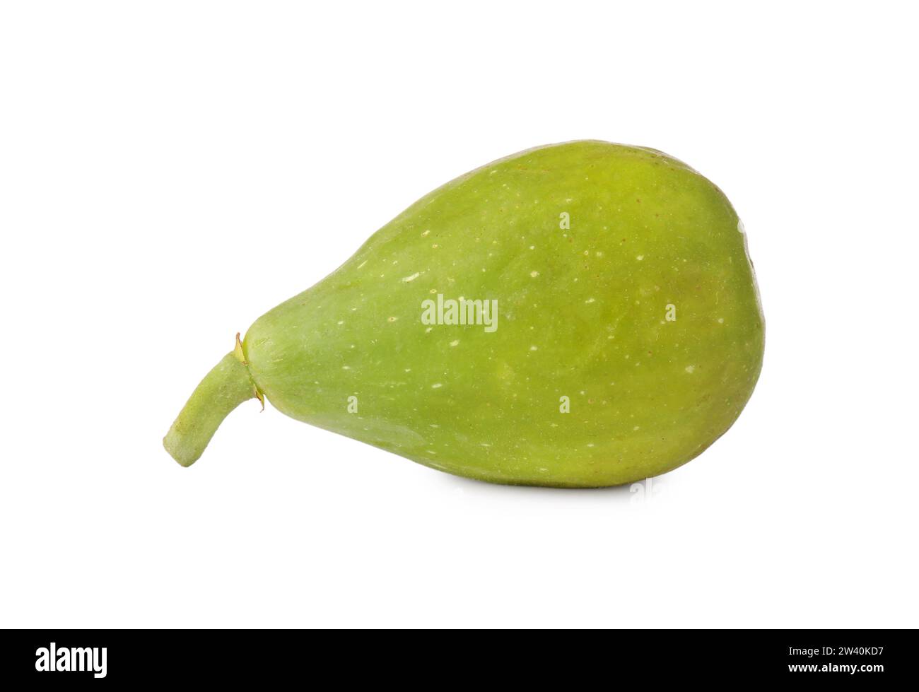 One ripe green fig Cut Out Stock Images & Pictures - Alamy
