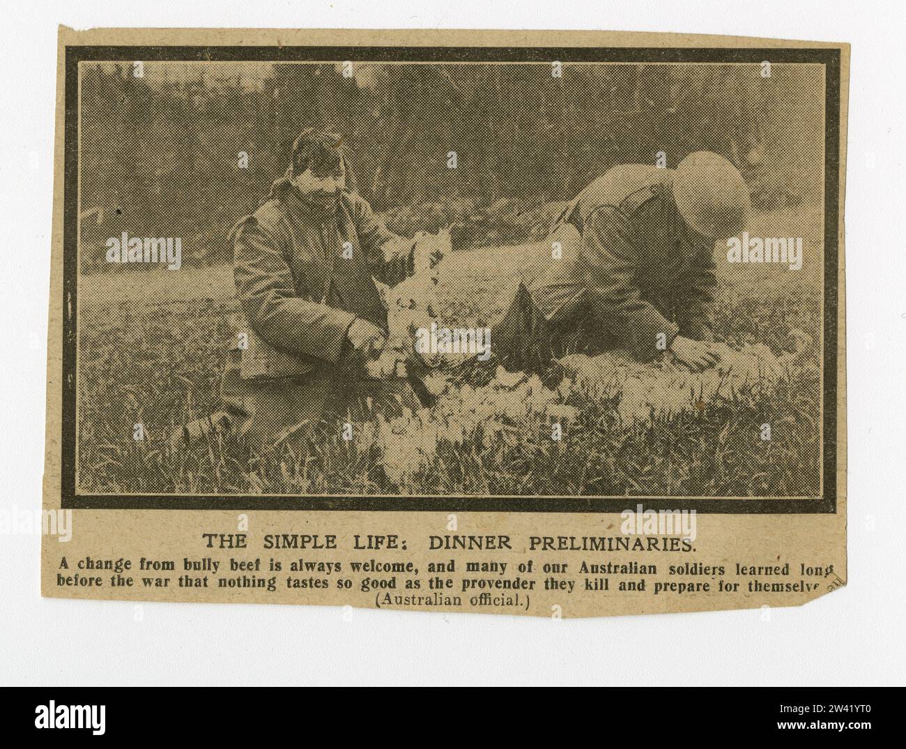 Official photograph taken on the British Western Front showing soldiers ...