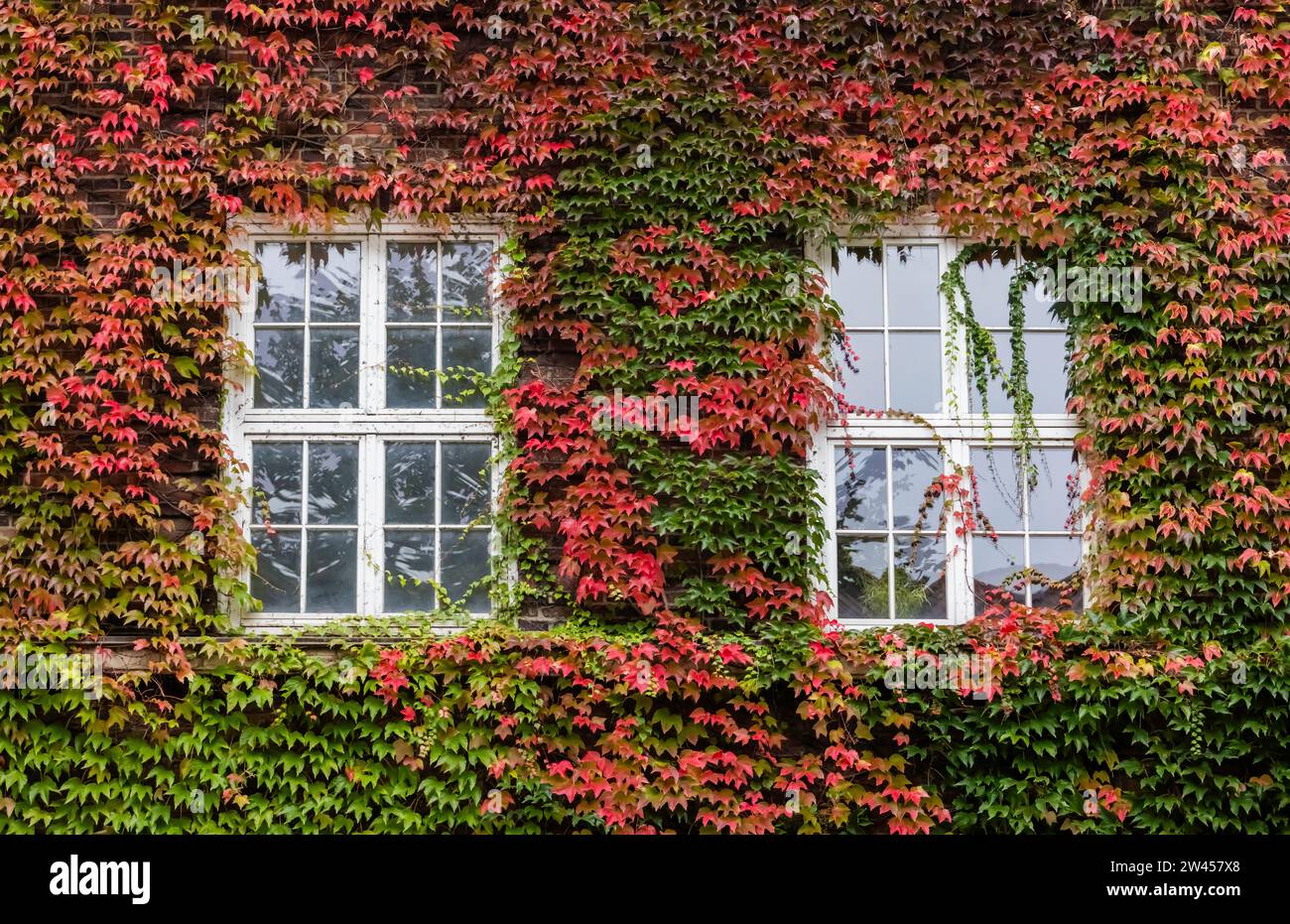 Roter heli hi-res stock photography and images - Alamy