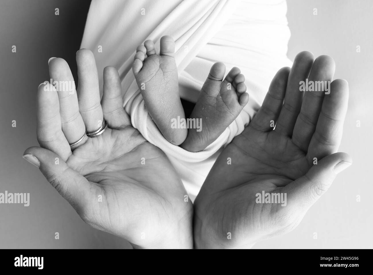 The palms of the parents, father and mother hold the legs, feet of ...