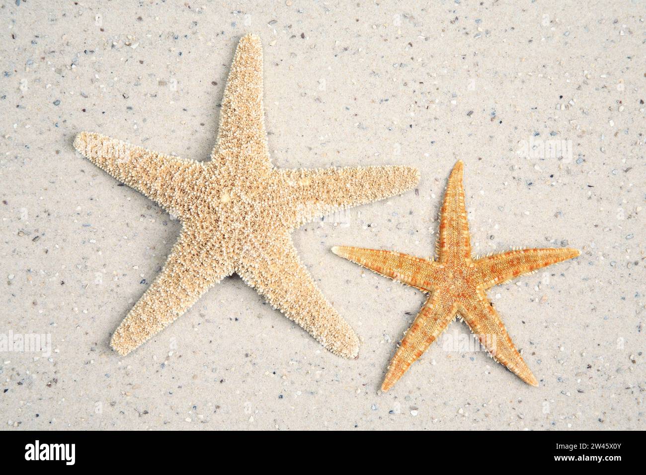 Sinnbild hi-res stock photography and images - Alamy