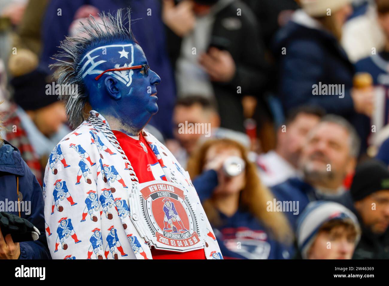 New England Patriots fan wears face paint during the second half of an ...