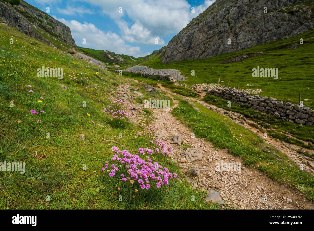 Landscape, Seascape, Mewslade, Gower, Wales, UK Stock Photo - Alamy