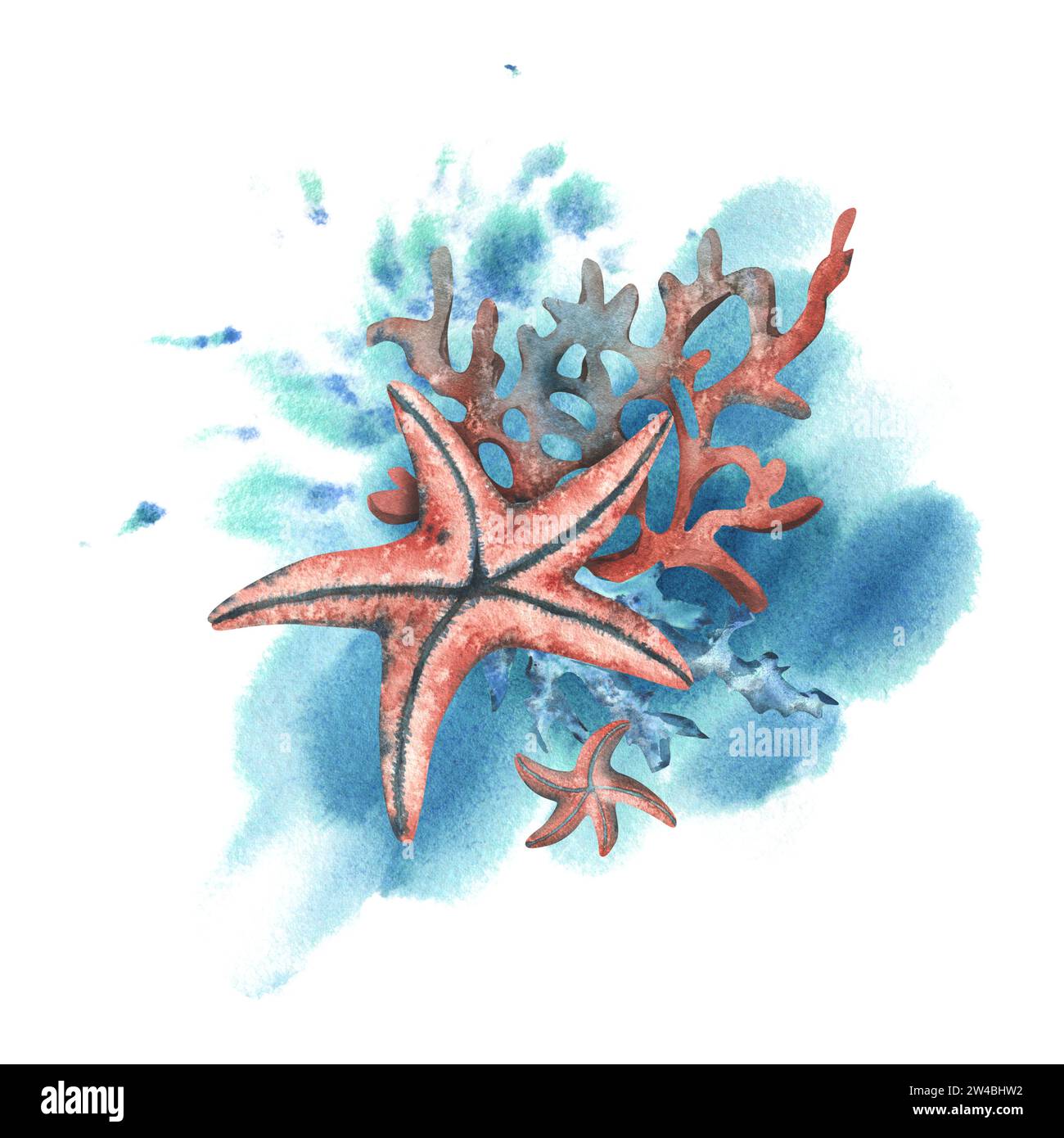Underwater world clipart with sea animals starfish, shells, coral and ...