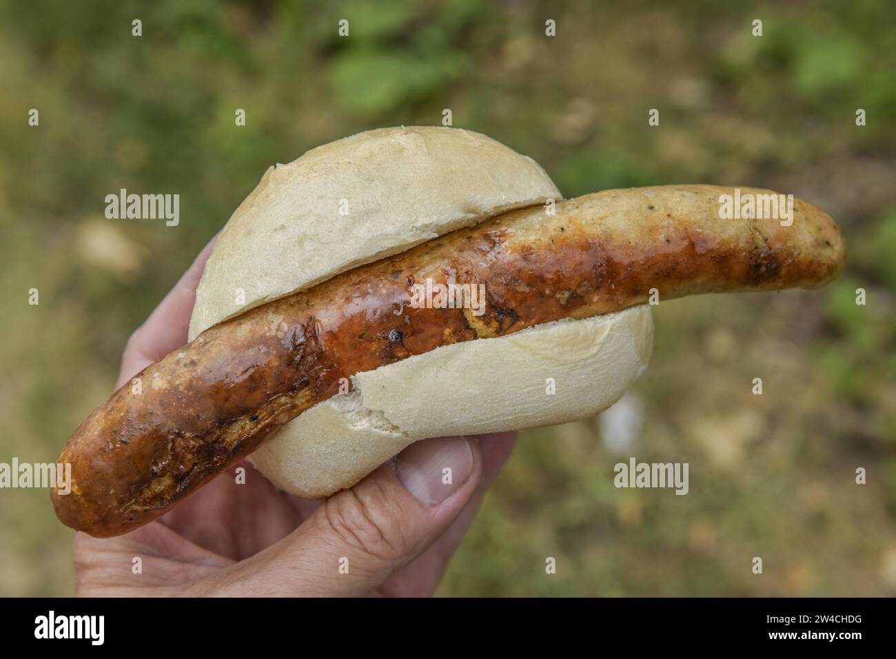 Thuringer wurst hi-res stock photography and images - Alamy