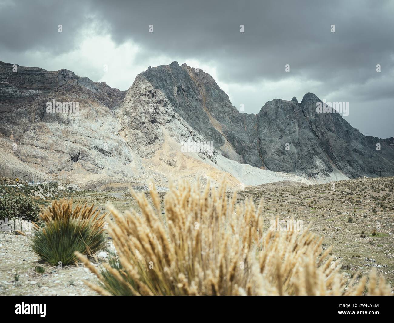 Landscape in the Andean highlands, Alto de Ticlio, Peru Stock Photo - Alamy