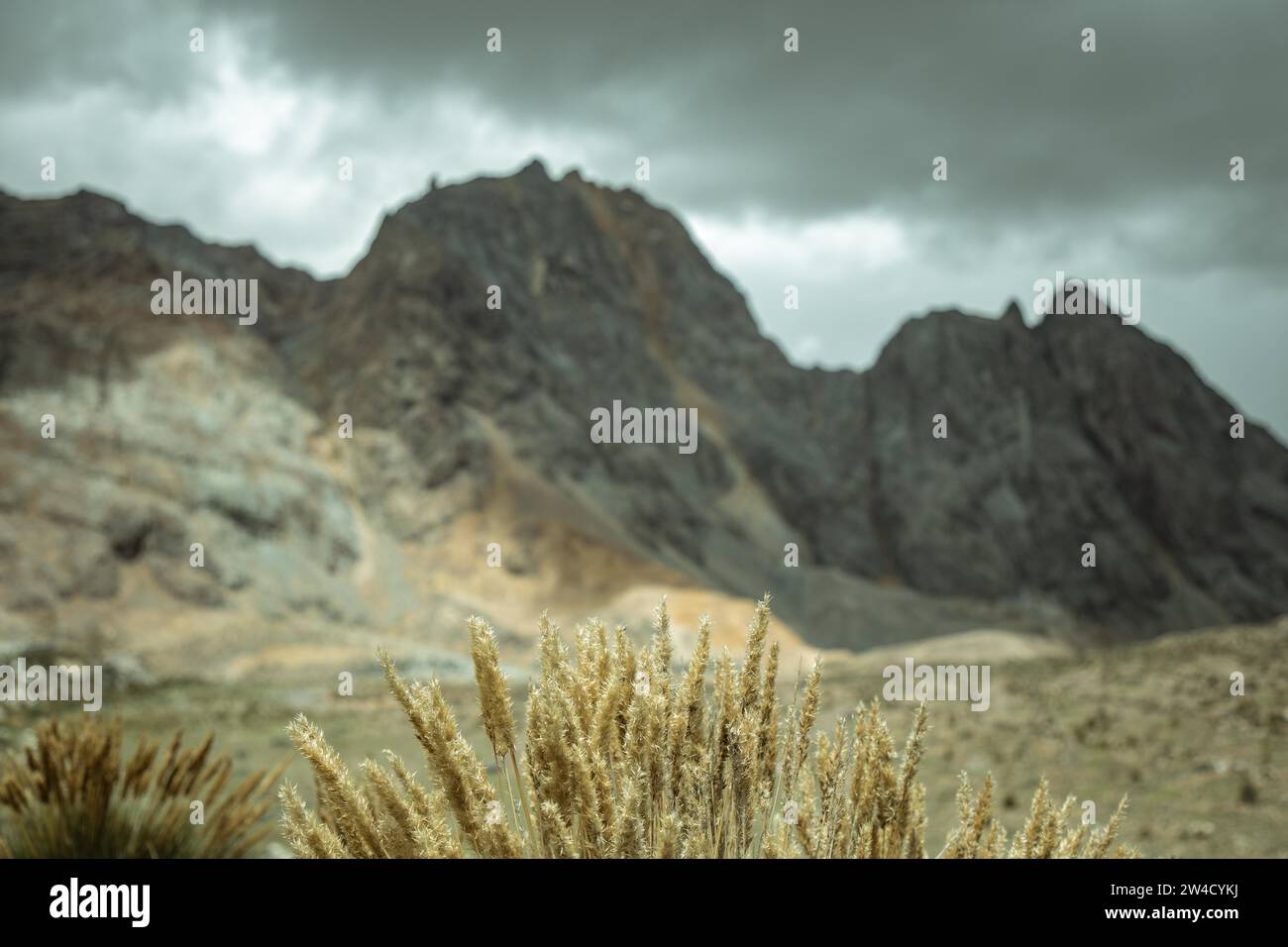 Mountain landscape in the Andean highlands, Alto de Ticlio, Peru Stock ...