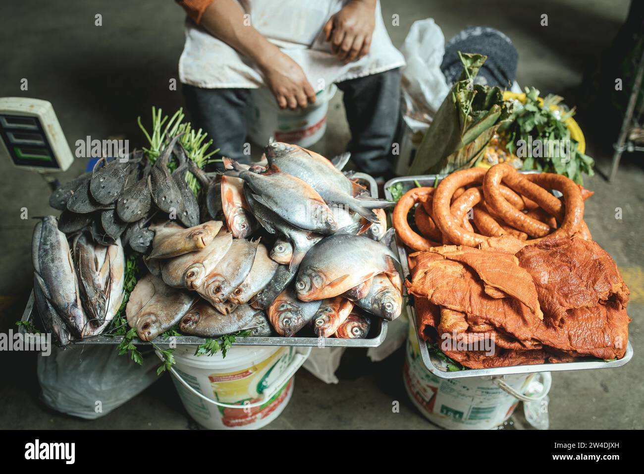 Fish from the Amazon, pacu, colossoma, pork and chorizo, specialities ...