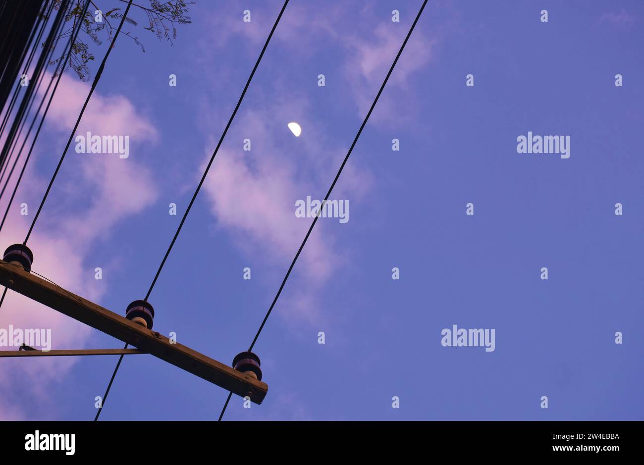 electric pole and cable line with half moon background in blue evening ...