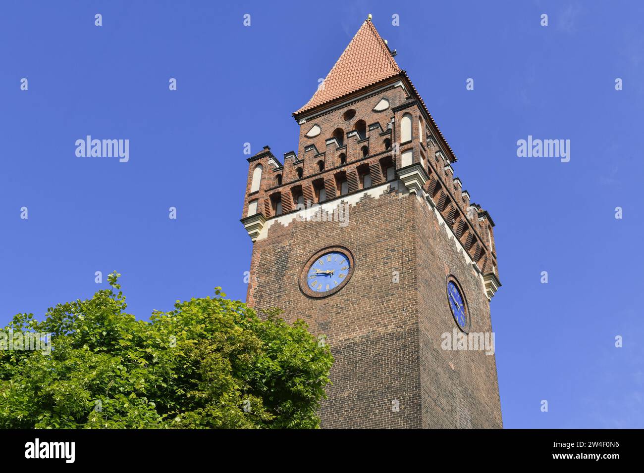 Schlossturm, Schlossberg, Cottbus, Brandenburg, Deutschland Stock Photo ...