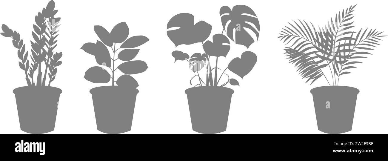 Decorative indoor plants in a pot silhouette. Zamiokulkas Dollar Tree ...