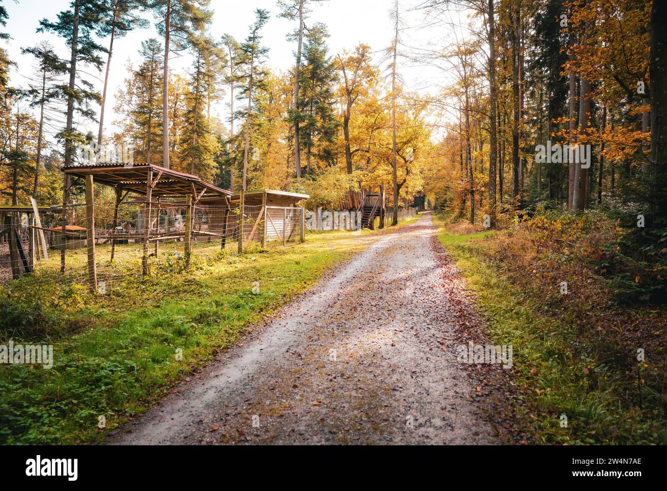 A simple path through a rural scenery with fences and foliage, Calw ...