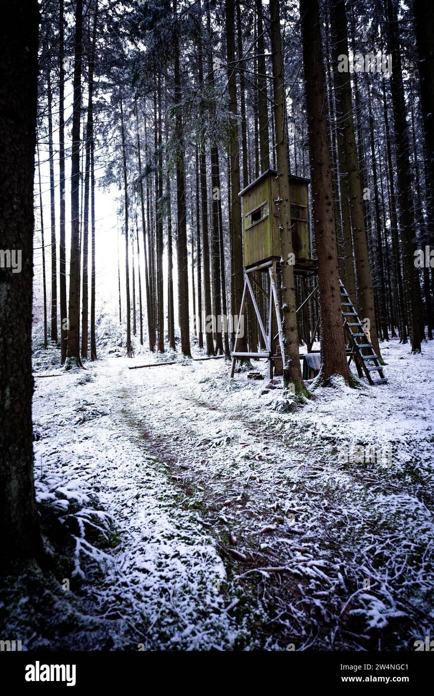 A raised hide in the snowy forest, surrounded by trees, Unterhaugstett ...