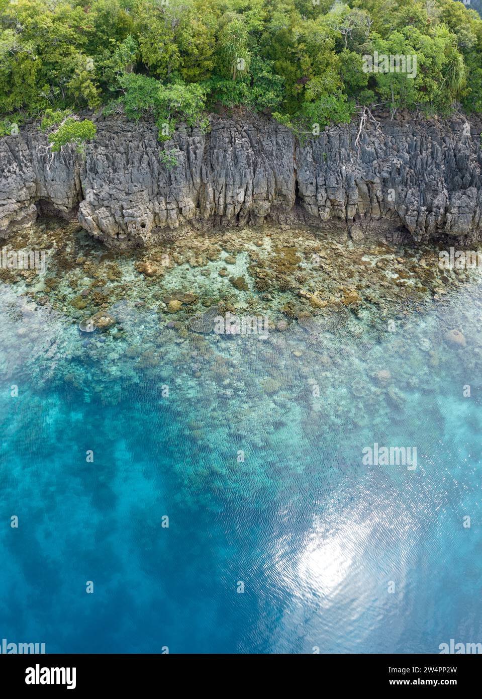 A shallow coral reef grows along the edge of a limestone island in Raja ...