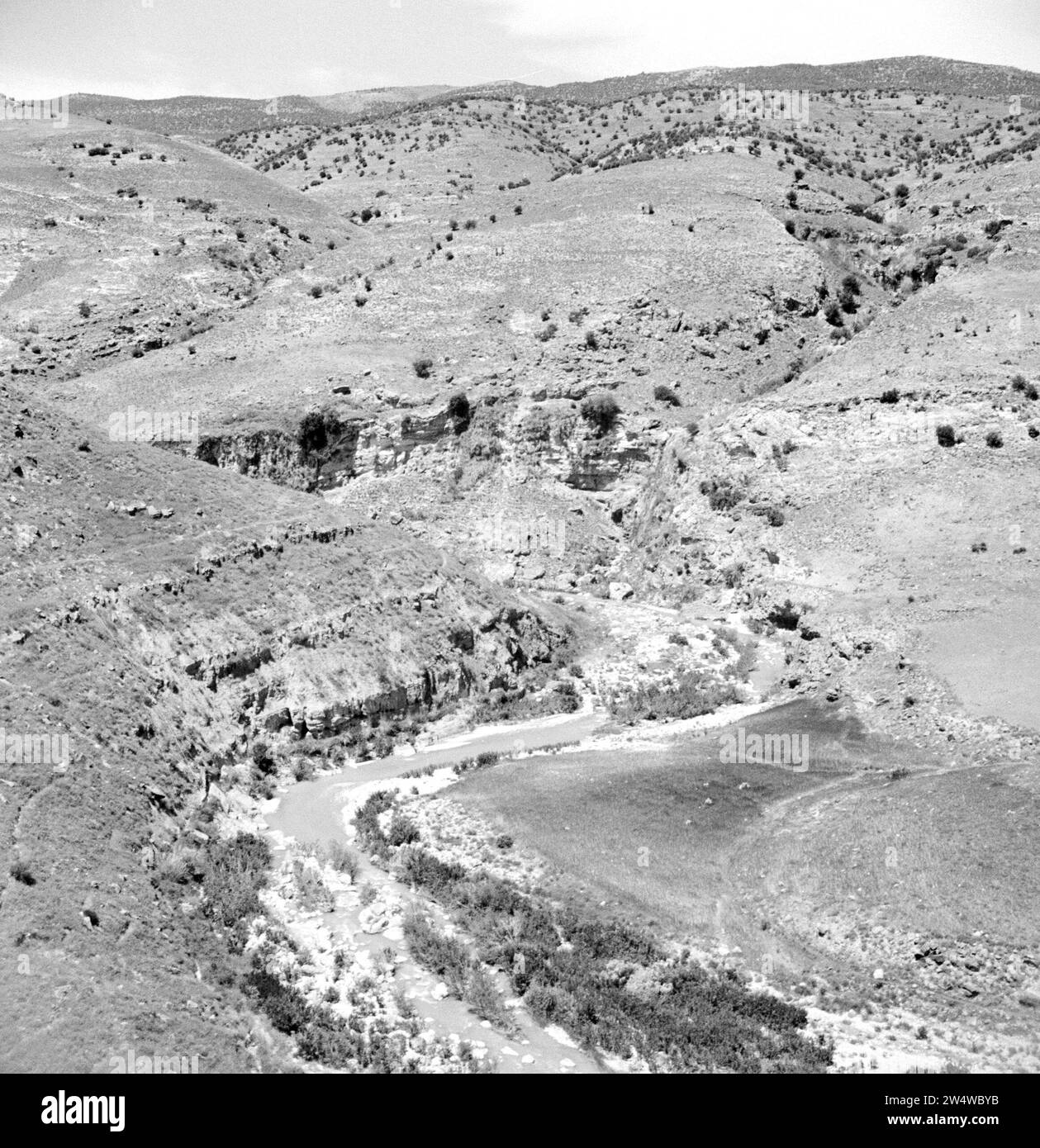 In the Jericho area. View over the valley of the Jabbok river ca. 1950 ...