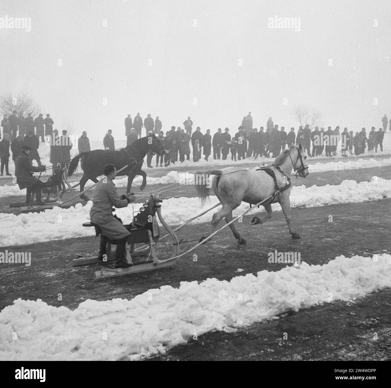 Harness racing with horse and sleigh in Akkrum, Mr. Van der Meer with ...