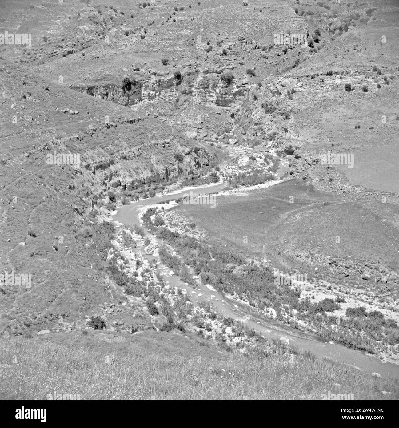 In the Jericho area. View over the valley of the Jabbok river ca. 1950 ...