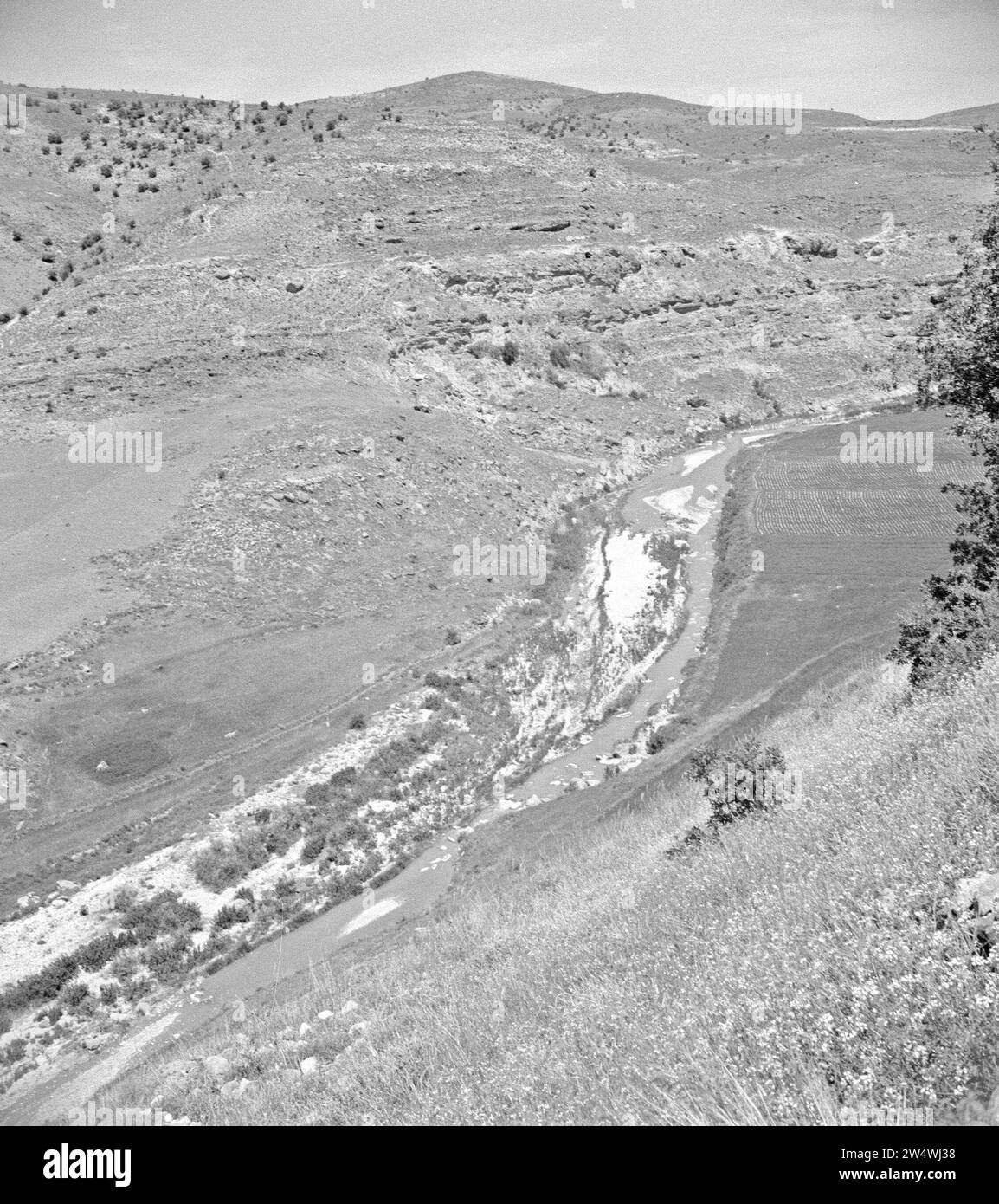 In the Jericho area. View over the valley of the Jabbok river ca. 1950 ...