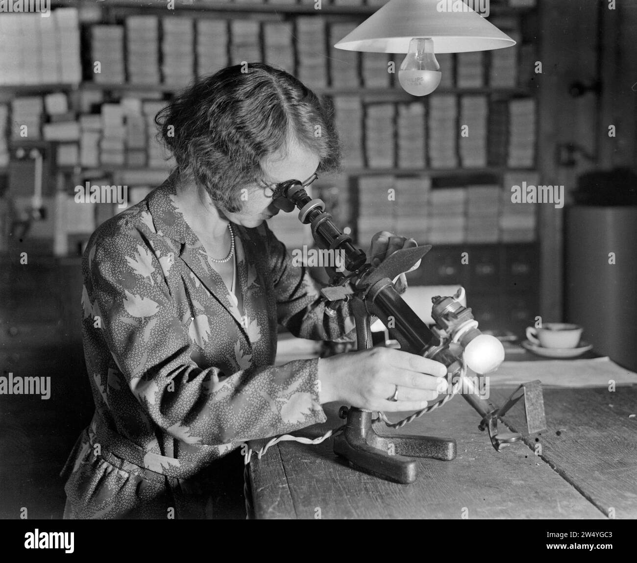 Photo microscope Black and White Stock Photos & Images - Alamy