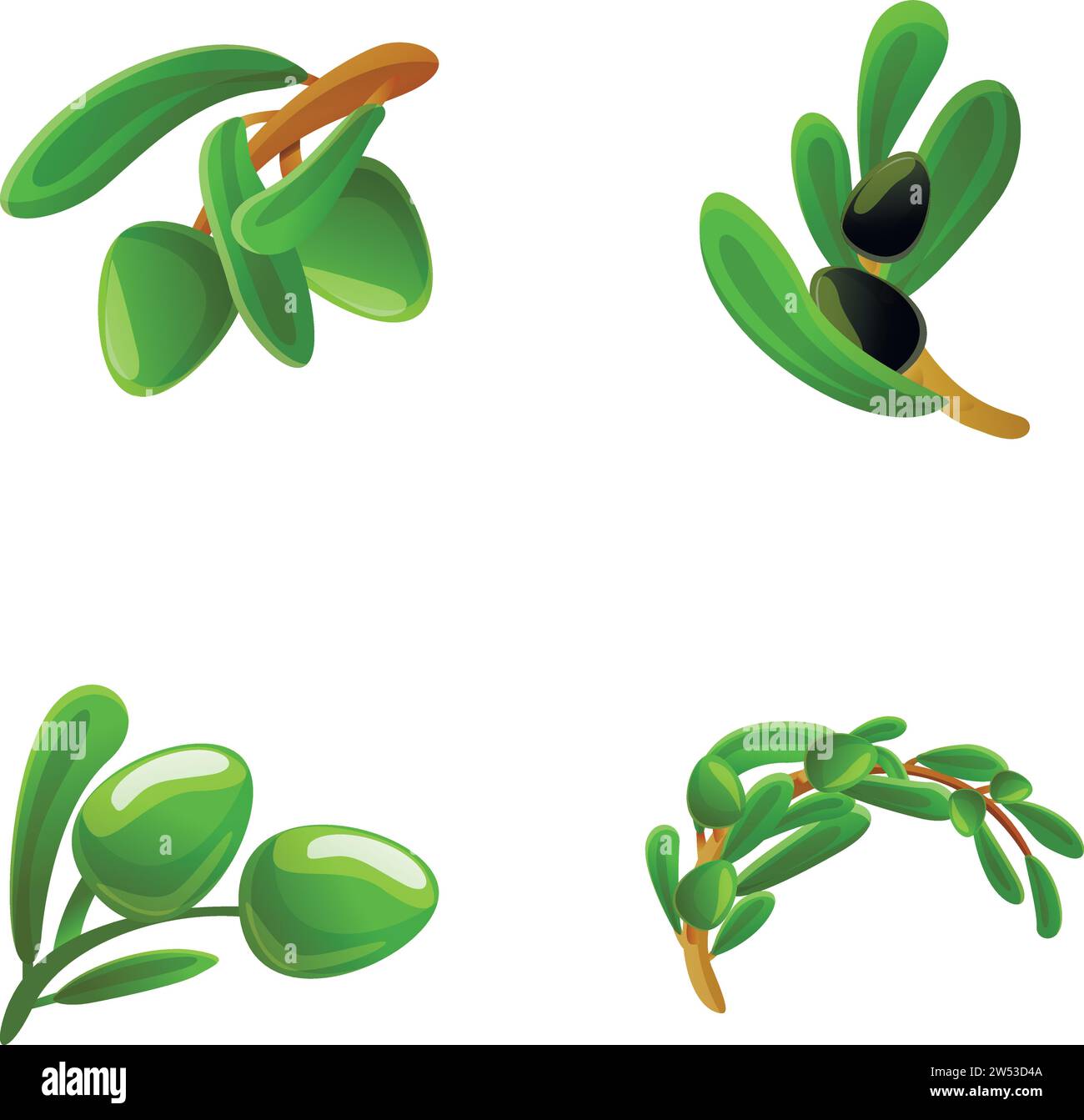 Olive icons set cartoon vector. Green and black olive on branch. Woody ...