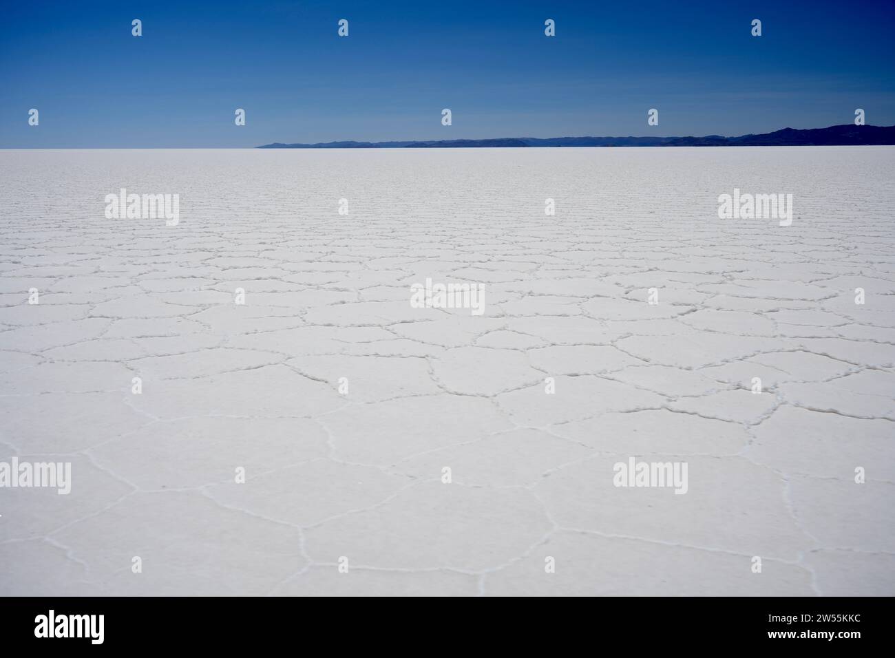 Hexagonal shapes in the salt flats at Uyuni, Bolivia Stock Photo - Alamy