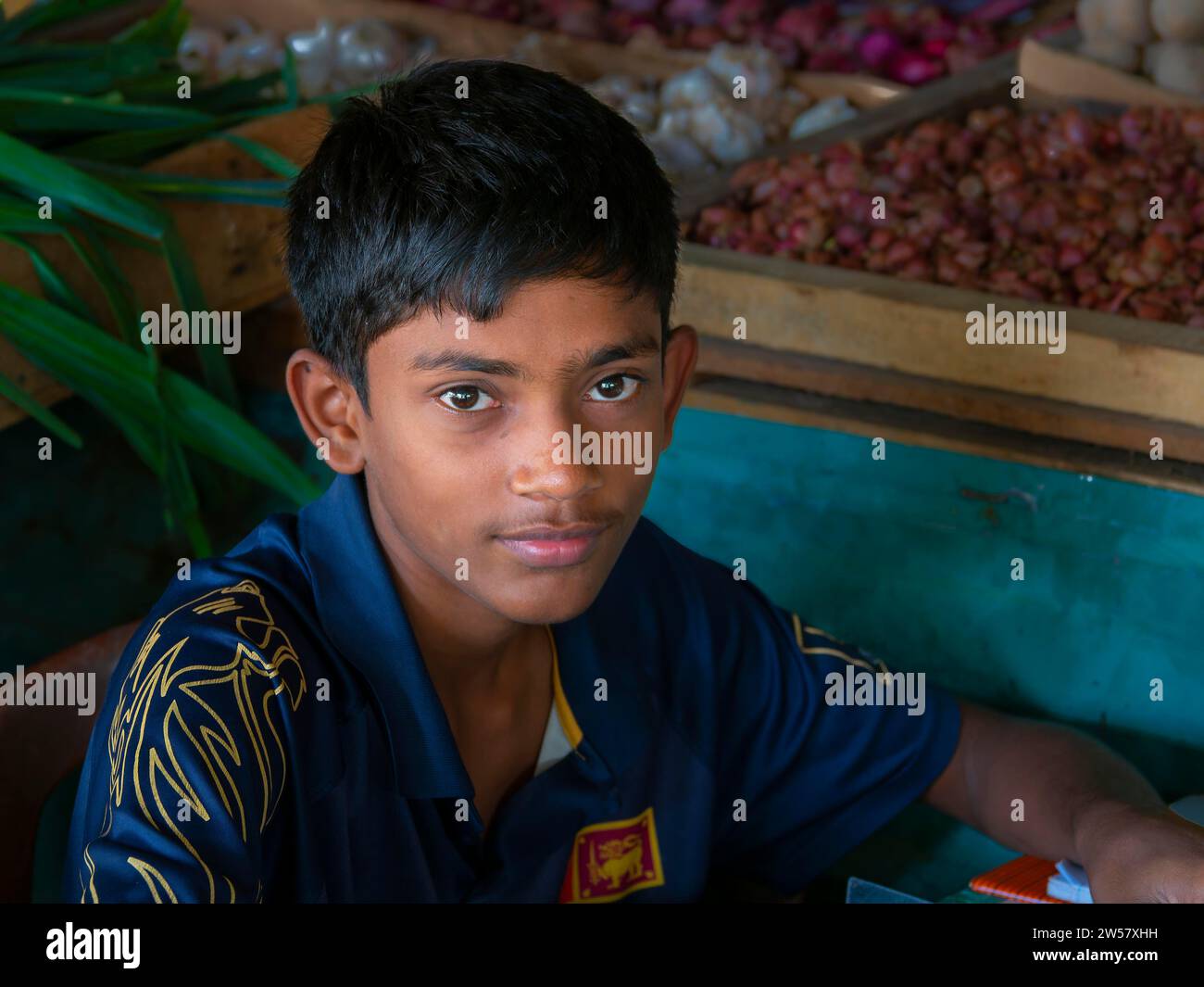 Sinhalese boy, Asian eyes, portrait, Sri Lanka Stock Photo - Alamy