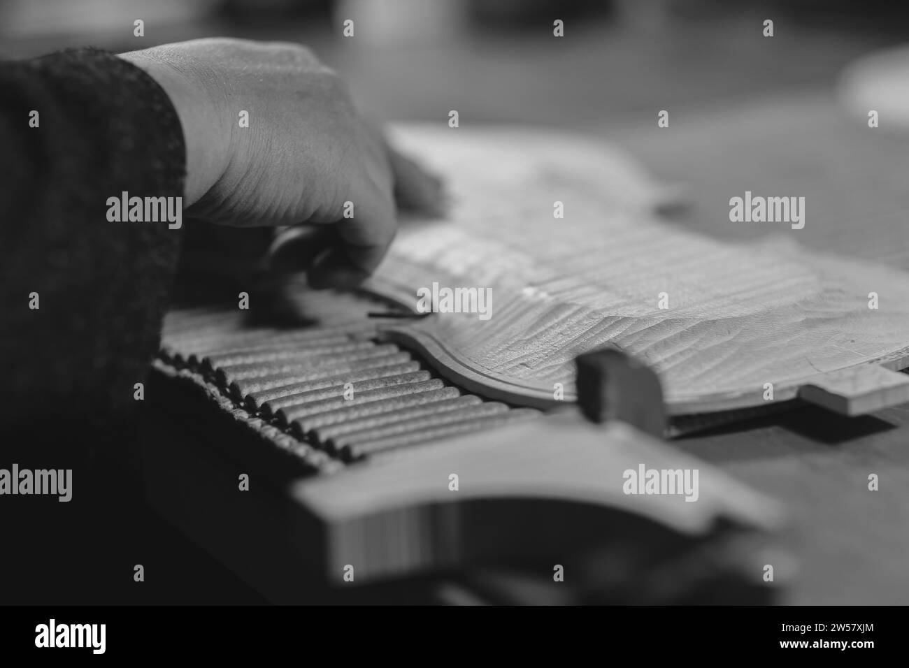 Violinmaker artisan hand in his workshop hold purfling fillet made of ...