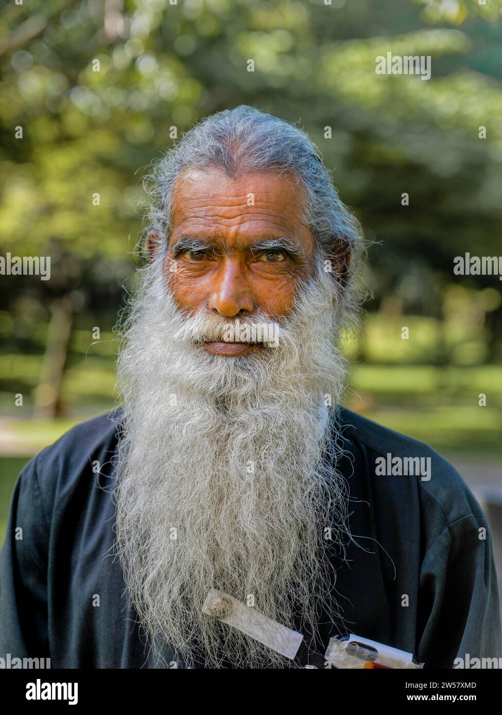 Old Sinhalese man with long beard, Sri Lanka Stock Photo - Alamy