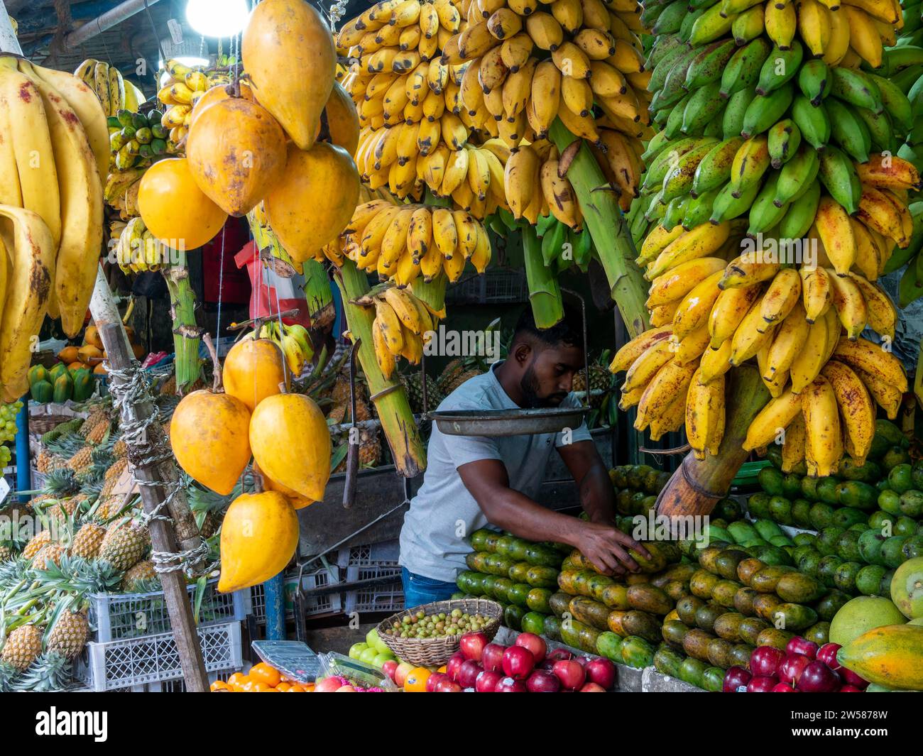 Fruit stand with colourful tropical fruits, bananas, mangoes, Sri Lanka ...