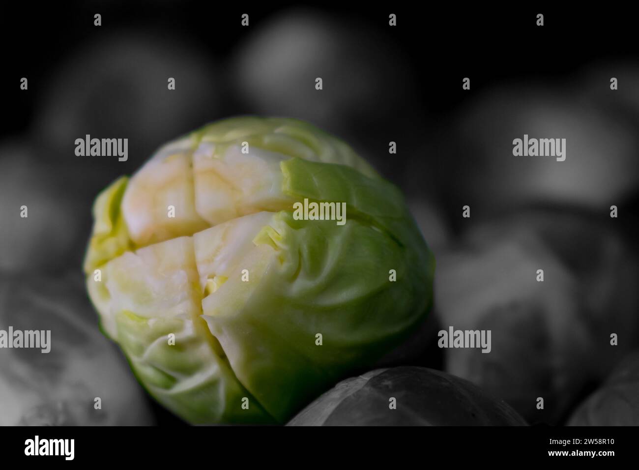 Festive christmas dinner in hi-res stock photography and images - Alamy