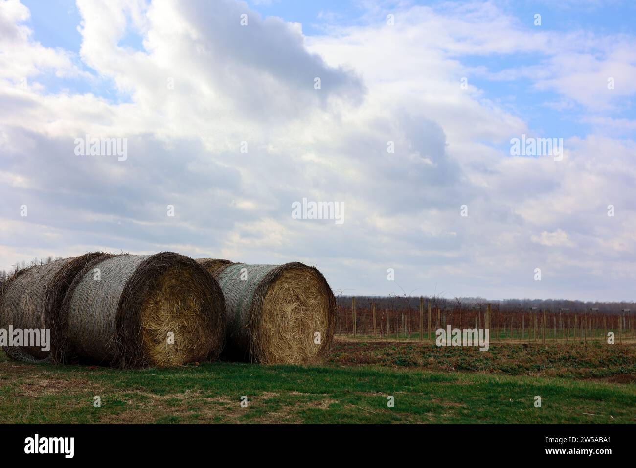 Hay barrel farm agriculture hi-res stock photography and images - Alamy