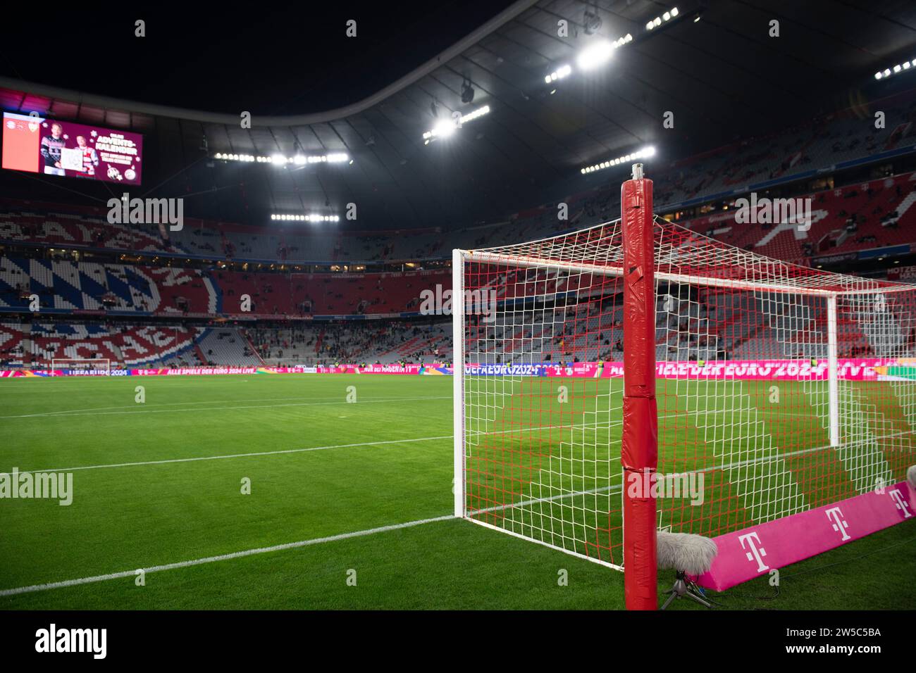 Stadium interior, goal, goal net, empty, Allianz Arena, Munich, Bavaria ...