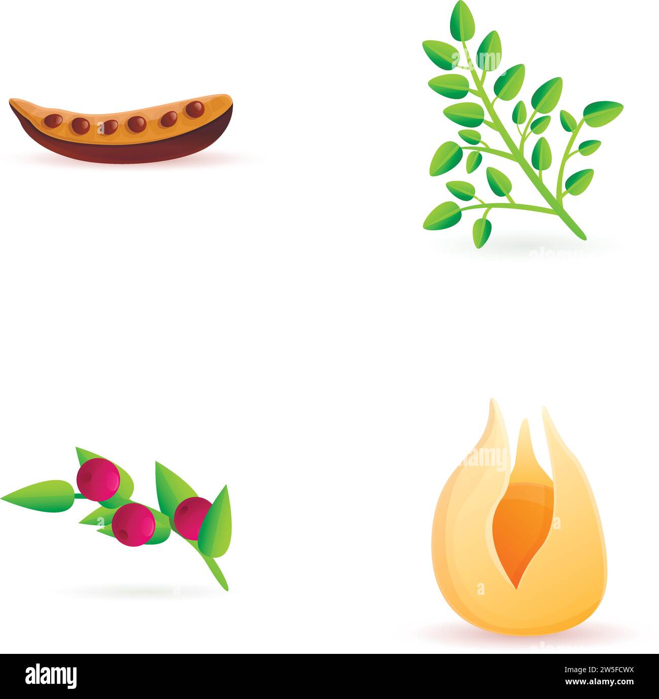 Tropic fruit icons set cartoon vector. Carob fruit, acai berry and ...
