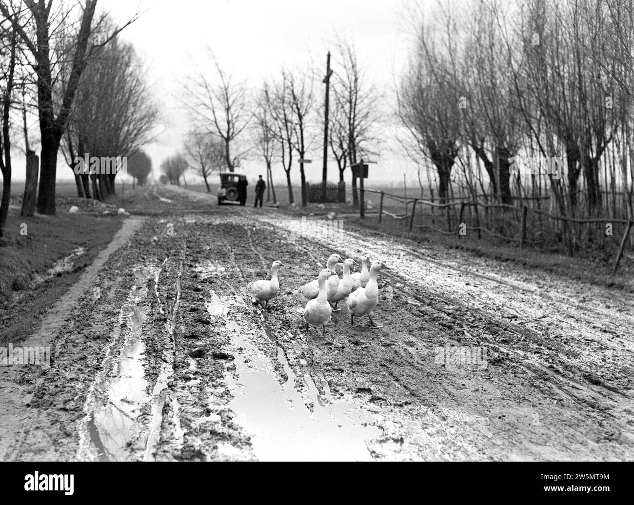 Rural poland 1930s hi-res stock photography and images - Alamy