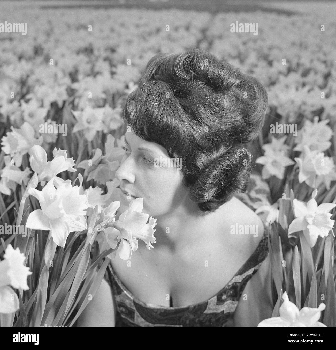 1960s hairstyle hi-res stock photography and images - Alamy