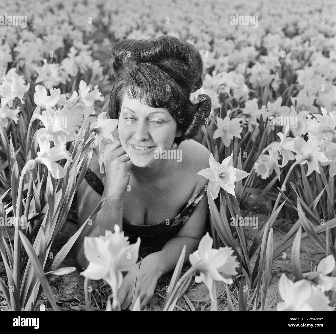 1964 hair style hi-res stock photography and images - Alamy