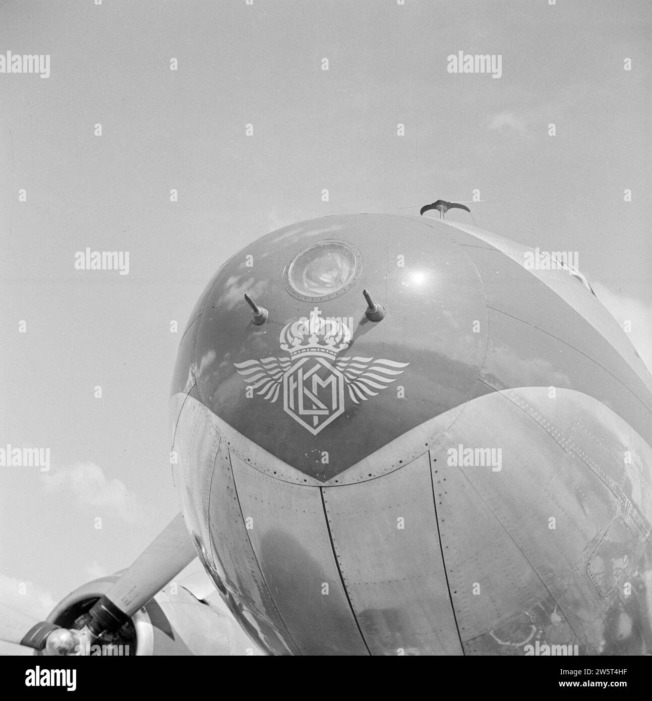 The nose of a KLM Convair 240 with the KLM emblem under the searchlight ...