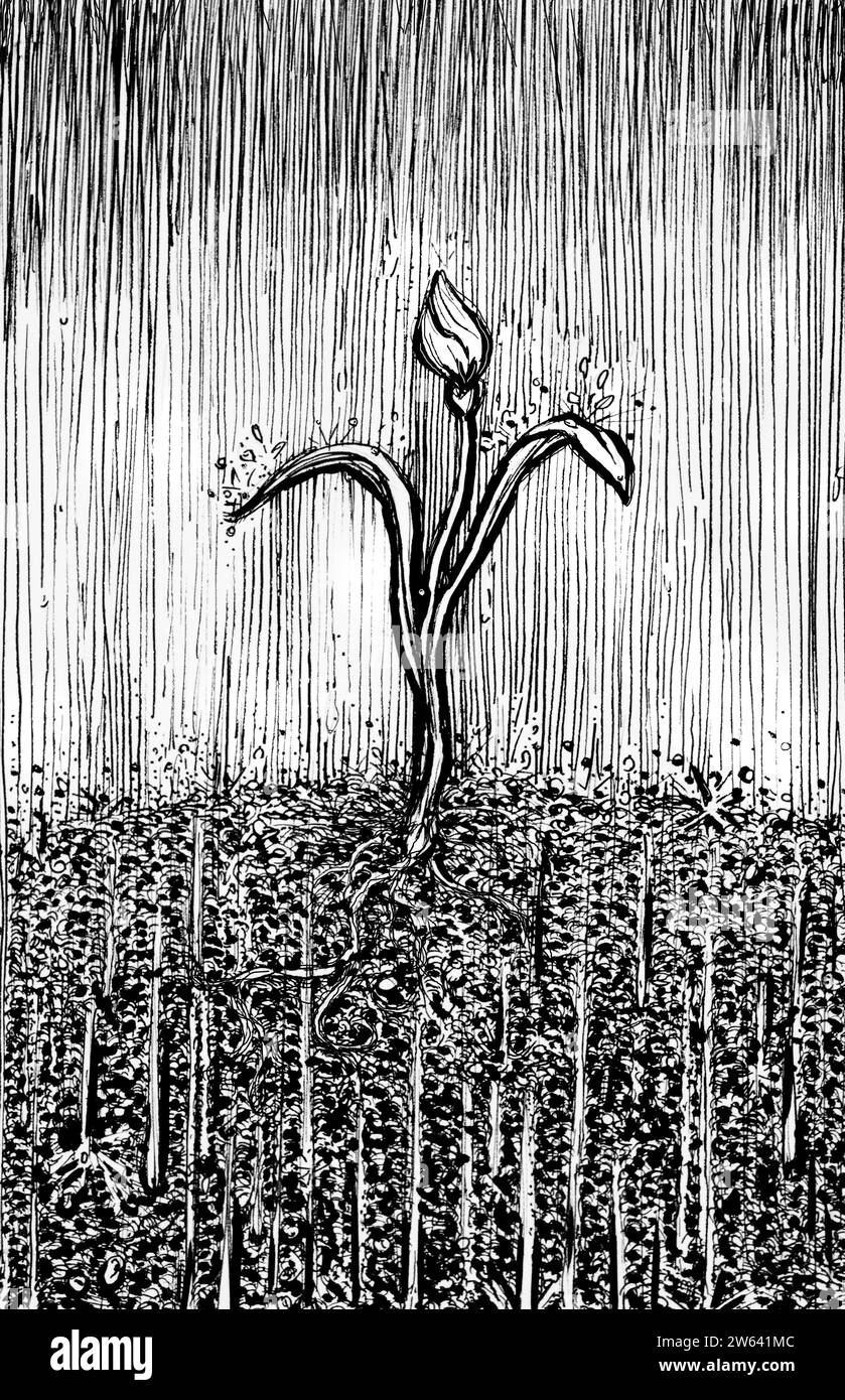 Bud Ink drawing illustration, beginning concept Stock Photo - Alamy