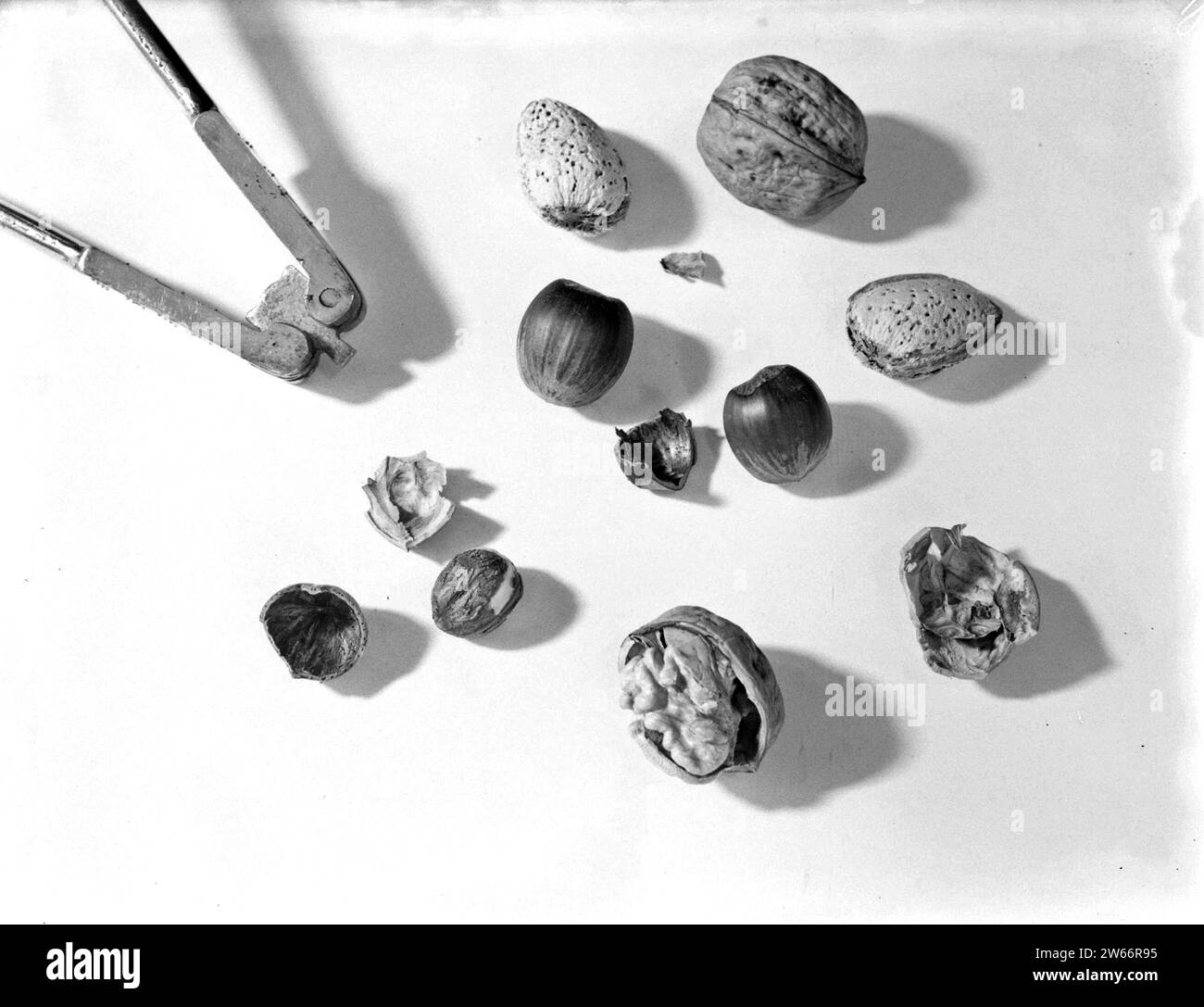 Real nuts Black and White Stock Photos & Images - Alamy