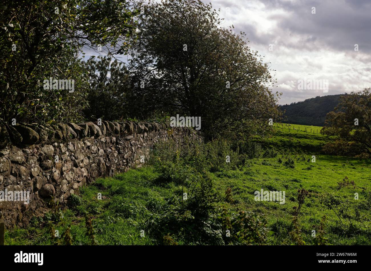 Traditional stone wall and fields, Scottish landscape near Crieff ...